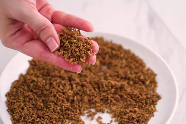 Candied Fennel Seeds Recipe | Sweet Mukhwas or Sugar Coated Saunf ...