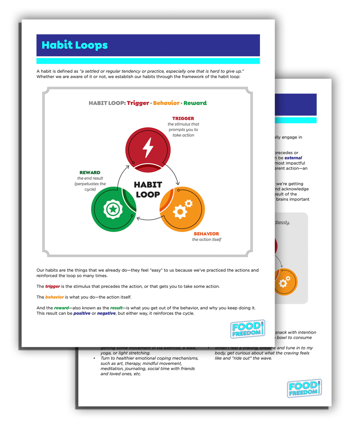 The Habit Loop & Neuroplasticity - Mind Over Munch