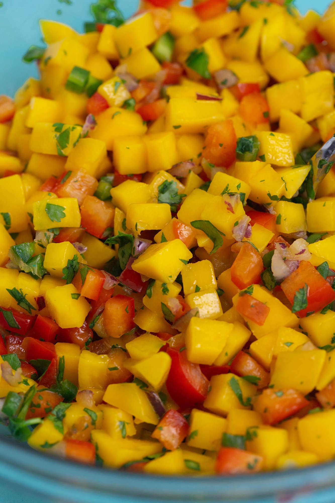 Easy 6-Ingredient Mango Salsa - Mind Over Munch