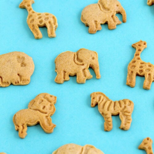Homemade Ritz Crackers Recipe - Mind Over Munch